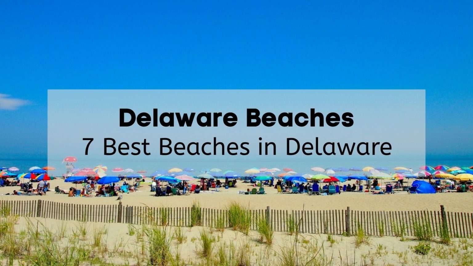Delaware Beaches 🏖️ | 7 Best Beaches in Delaware - First Rate Movers